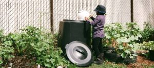 How To Reuse Coffee Grounds In Your Garden - Daily Espresso